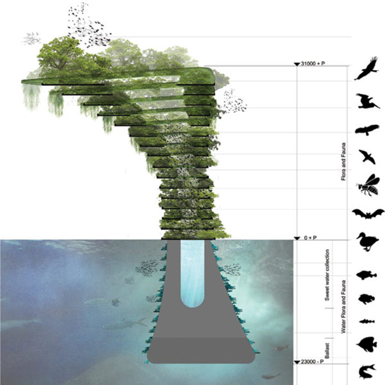 Sea-Tree5 copy - Waterstudio